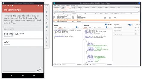 VAPI Walkthrough Zero Day Hacker