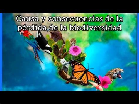 Descubre las principales causas de la pérdida de biodiversidad y sus
