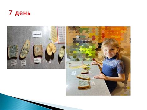 Плесень друг или враг Такие грибы презентация онлайн