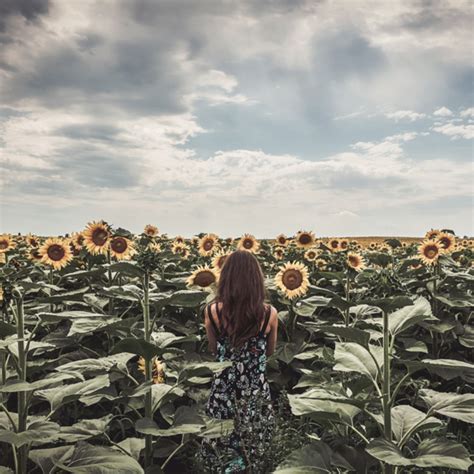 Home 2020 Oláh László Fotói