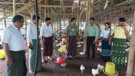 ဒေးဒရဲမြို့၌ နိုင်ငံ့စီးပွားမြှင့်တင်ရေး ရန်ပုံငွေဖြင့် ဆောင်ရွက်လျက်ရှိသည့် လုပ်ငန်းများအား ကွင