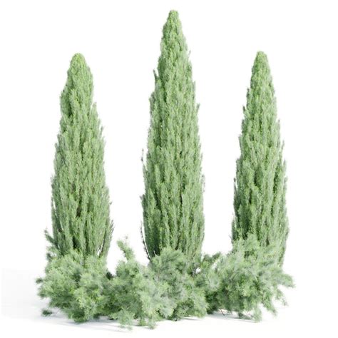 3d Outdoor Junipers Collection Vol 99 Blender Turbosquid 2134646