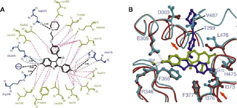 A Schematic Representation Showing The Interactions Between RAL And Download Scientific