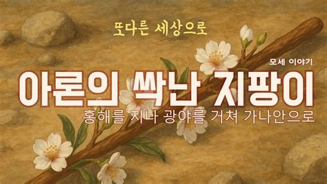 20250506 모닝토스트 민수기 171~13 아론의 싹난 지팡이torontojoosarang Youtube