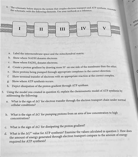 Solved The Schematic Below Depicts The System That Couples Electron