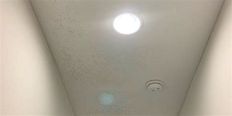 Spots Appearing On Ceiling Infoupdate Org