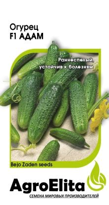 ОГУРЕЦ