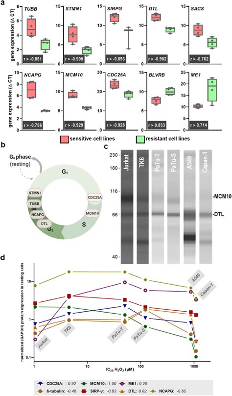 Top 10 Target Validation A Validation Of Target Genes Using Qpcr In