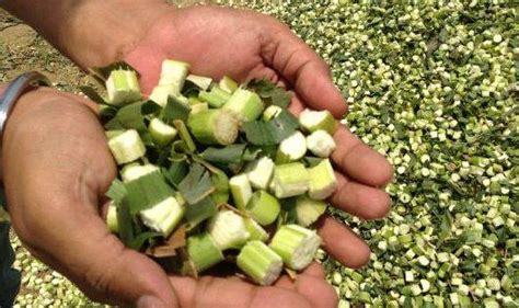 Glasson Grain Limited Added A New Glasson Grain Limited