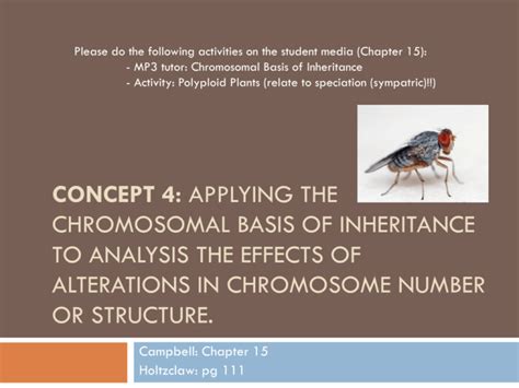 Chromosomal Inheritance Alterations And Genetic Disorders
