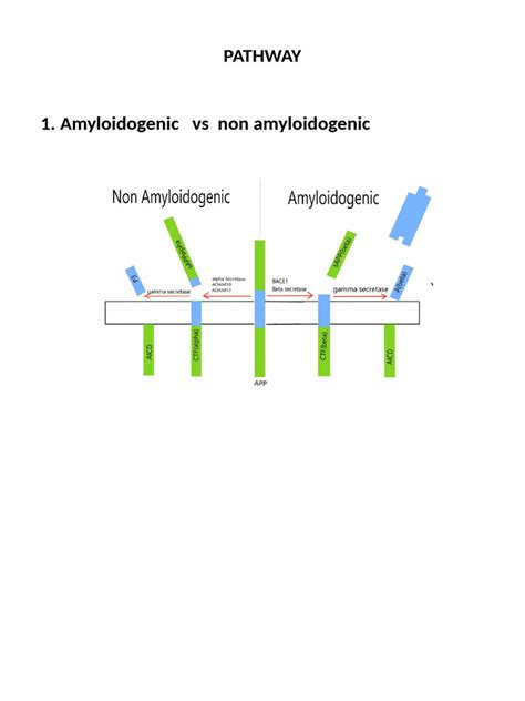 Pathway Signaling Pdf Amyloid Beta Proteolysis