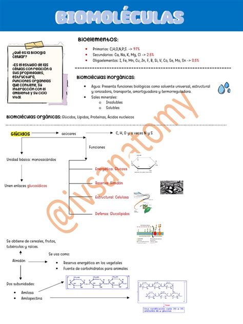 Biomoléculas Pdf Carbohidratos Nucleótidos