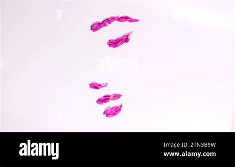 Fragile Face Stock Videos And Footage Hd And 4k Video Clips Alamy