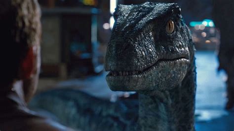 Blue Jurassic World Wallpapers Wallpaper Cave
