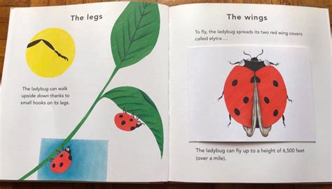 Ee Lin Chung On Linkedin Neverstoplearning