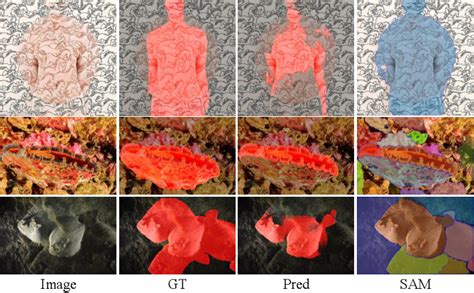 Figure 12 From A Bioinspired Three Stage Model For Camouflaged Object