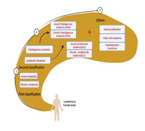 Classification Of Leukemia Download Scientific Diagram