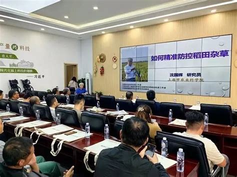 上海嘉定区大力推广水稻机械化除草 农机新闻网