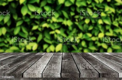 녹색 잎 자연 배경 제품 프리 젠 테이 션 광고 상업 및 마케팅 개념의 표시를 위한 복사 공간을 흐린 이미지와 빈 나무 보드 테이블 또는 현대 나무 테라스 0명에 대한 스톡