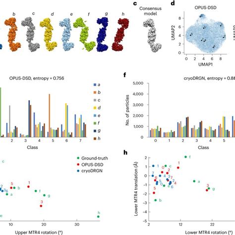 Qinghua WANG Professor Associate Doctor Of Philosophy Baylor College Of Medicine TX