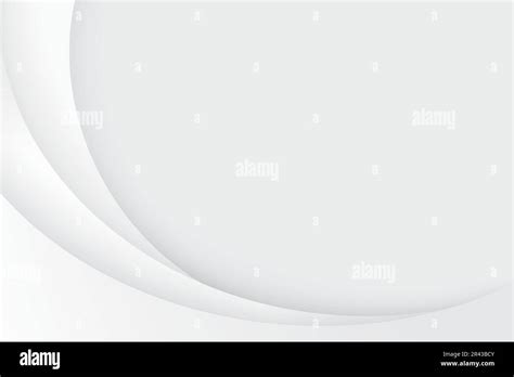 Paper Layer Circle White Abstract Background Curves And Lines Use For