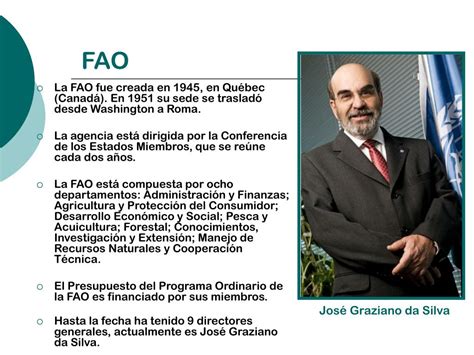 Ppt La Onu Powerpoint Presentation Free Download Id 6103173