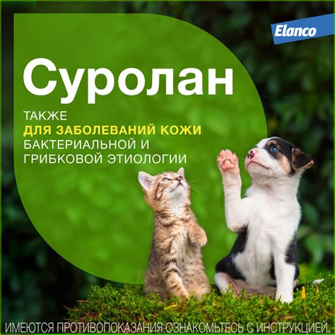 Суролан (Elanco) суспензия для лечения наружного отита и заболеваний ...