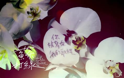 苏打绿 Ella陈嘉桦 你被写在我的歌里 Bilibilib站无水印视频解析——6li6在线工具箱