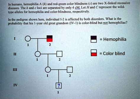 Solved In Humans Hemophilia A H And Red Grecn Color Blindness C