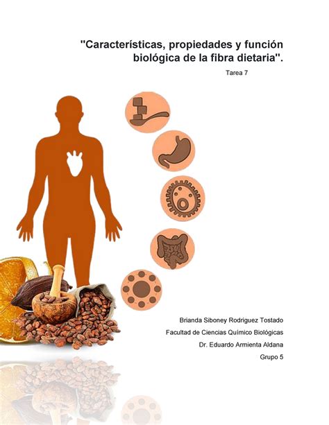 Características Propiedades Y Función Biológica De La Fibra Dietaria