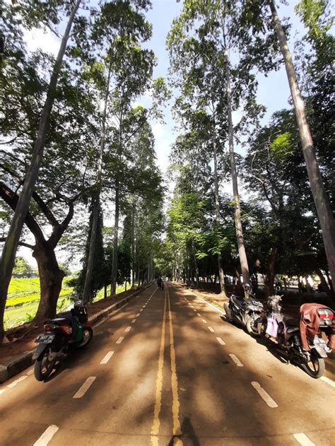 Pin By Magda Situmorang On Side Walks Country Roads Sidewalk Road