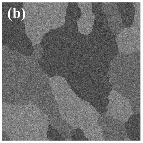 A Piecewise Constant Image With Subdomains B Corrupted With
