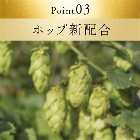 ビール Beer 500ml 24本 送料無料 キリン 一番搾り 糖質ゼロ 500ml×1ケース24本024『yml