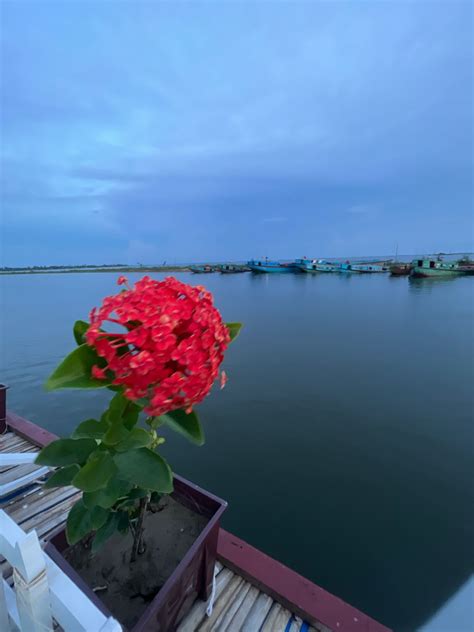 Swapan Banik On Linkedin Just Awesome Natural