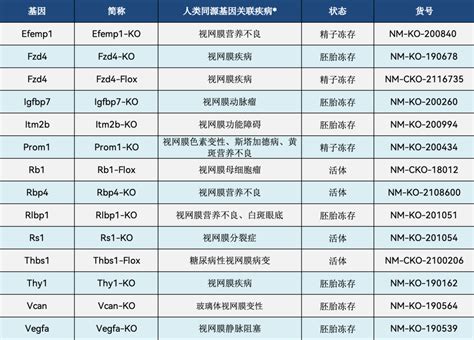 一起做个“明眼人”，带你探究视网膜的奥秘 知乎