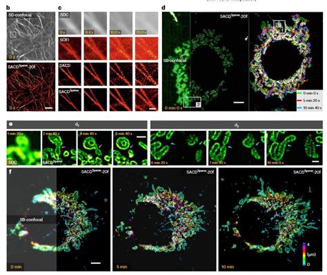 Enhanced Detection Of Fluorescence Fluctuations For High Throughput