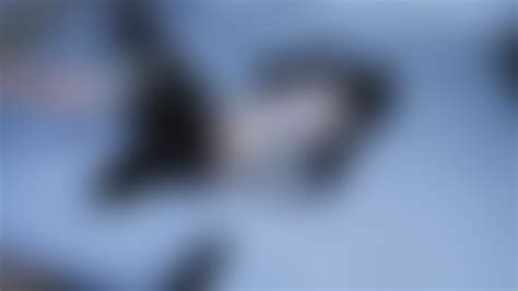 The Perfect Bitchsuit Rbitchsuitbondage