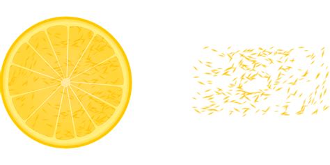 Free Vector Graphic Lemon Citron Citrus Food Fruit Free Image On