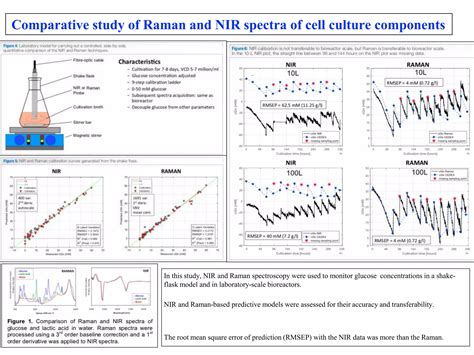 Process Analytical Tools In Cell Culture Pptx