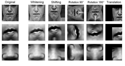 Patches Generation For Data Augmentation Using Transformation Functions Download Scientific