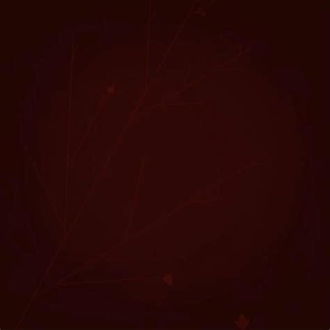 Brogden Primary School Home Facebook