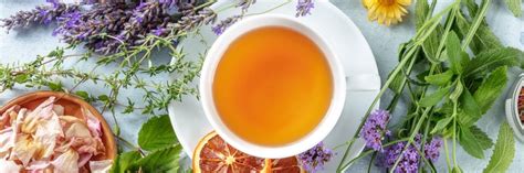 Guide To Sleepytime Tea Benefits And Ingredients Art Of Kava