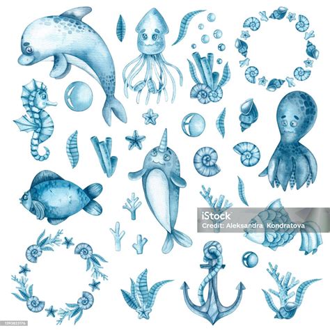タコイルカナルワルイカタツノオトシゴ魚サンゴ貝殻藻類の水彩画ブルーセット 海藻のベクターアート素材や画像を多数ご用意 海藻 スケッチ