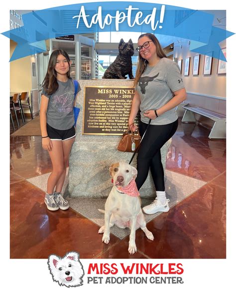 ADOPTED! Lady is home!... - Miss Winkles Pet Adoption Center | Facebook