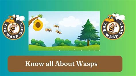 Ppt Know All About Wasps Powerpoint Presentation Free Download Id 12123815