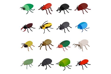 Insect Bug Icons Set Isometric 3d Style