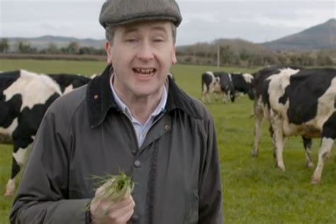 Surprising Facts We Learned About Dairy On Rte Independent Ie