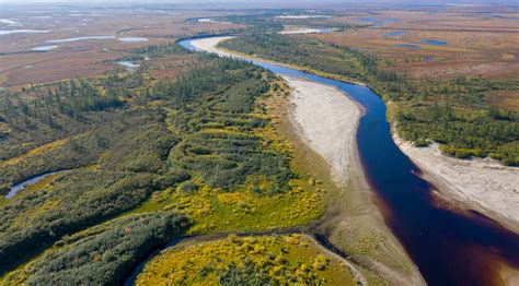 숲 툰드라와 모래 강둑의 풍경 조감도 북극권 툰다 헬리콥터에서 툰드라의 아름다운 풍경 0명에 대한 스톡 사진 및 기타 이미지 Istock