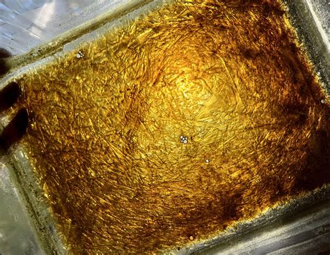 Needle Like Crystals Appearing In An Ethanol Extract Rmescaline