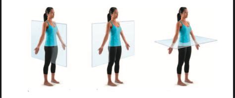 Body Planes Diagram Quizlet